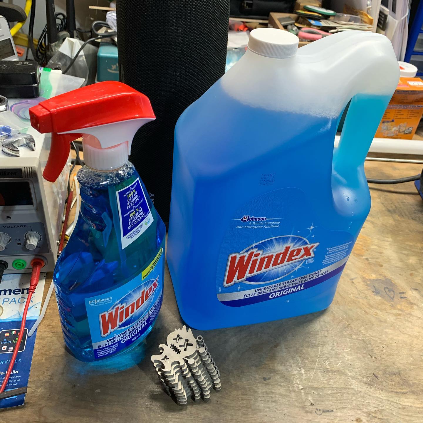 Does Windex Kill Wasps