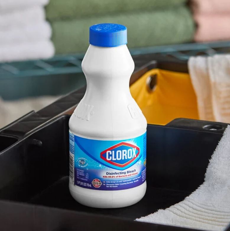 Can Clorox Kill Ants? A Comprehensive Guide - Pest Control Services ...